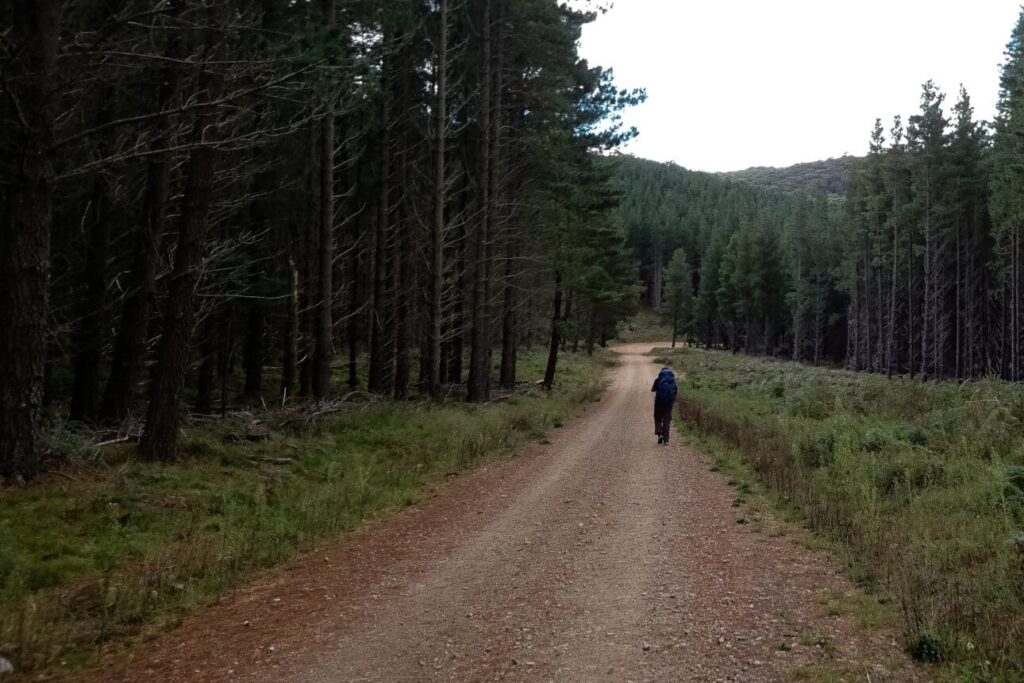 Yellowstone Half Marathon & 5K » Vacation Races